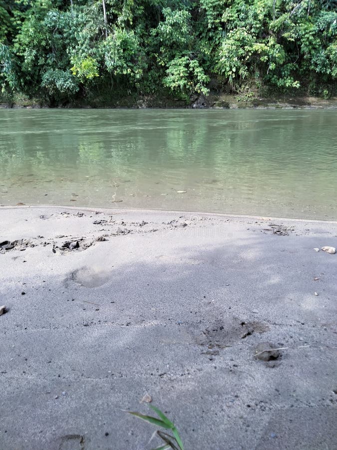 Fine River Sand with Water that Clear Stock Image - Image of river ...