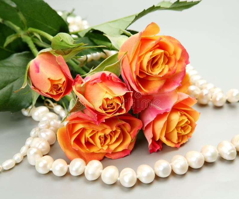 Fine roses stock photo. Image of aroma, rose, florists - 21810714