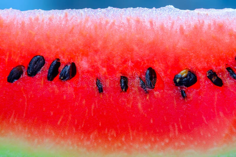 Fine Rossa Dell'anguria Sull'immagine Immagine Stock - Immagine di ...