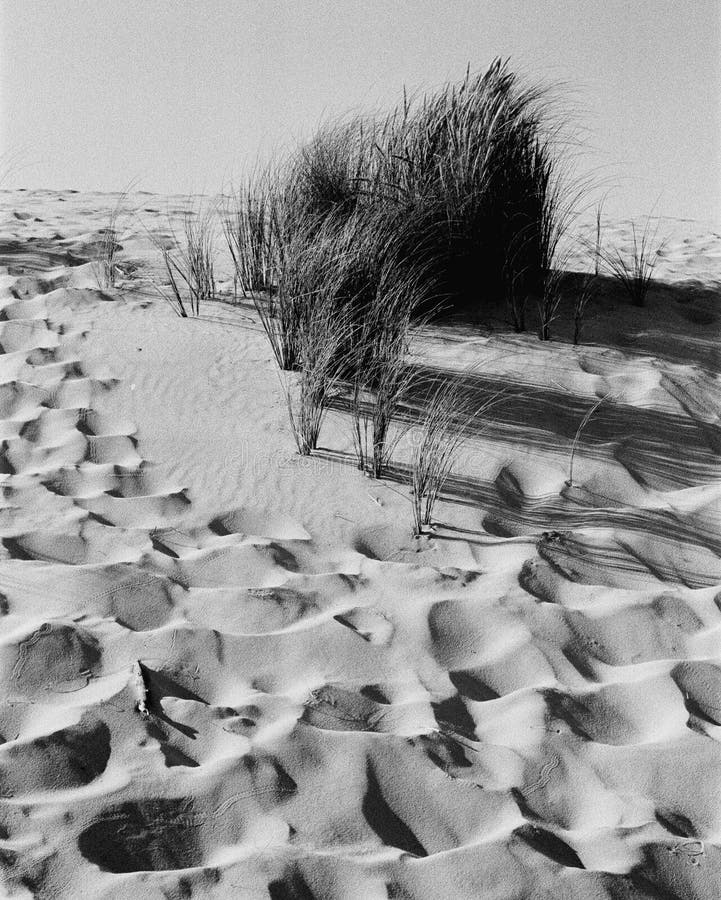 Fine Sand on the Beach of Oleron Stock Image - Image of beach, sand ...