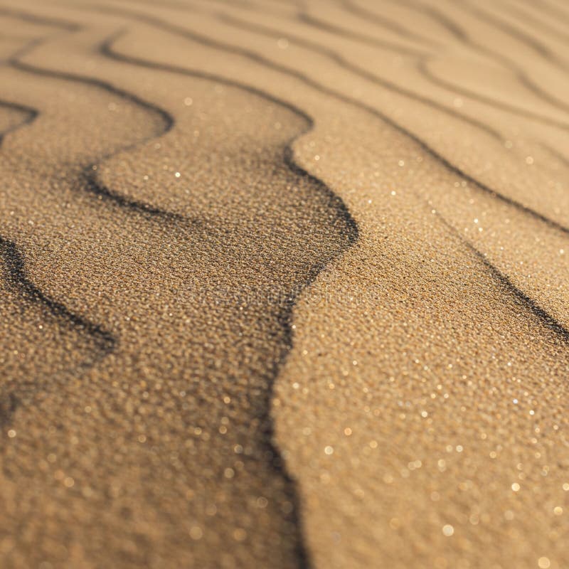 Fine Sand Forms Undulating Patterns with Wavy, Dark Lines Across Its ...