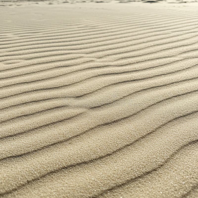 Fine Sand Forms Undulating, Wavy Patterns Creating a Textured Surface ...