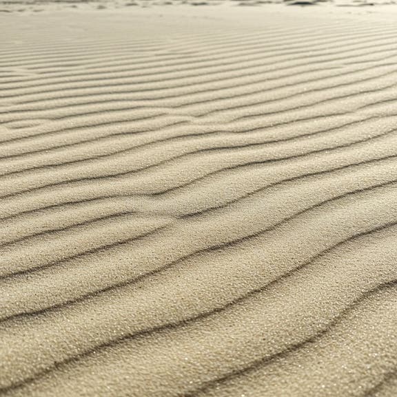 Fine Sand Forms Undulating, Wavy Patterns Creating a Textured Surface ...