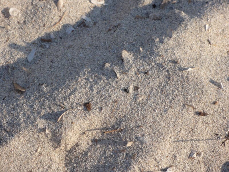 Granular Disintegration Stock Photos - Free & Royalty-Free Stock Photos ...