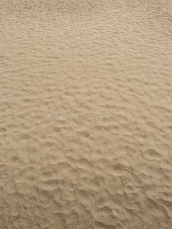 Fine sand on a sandy beach stock photo. Image of beach - 279348472