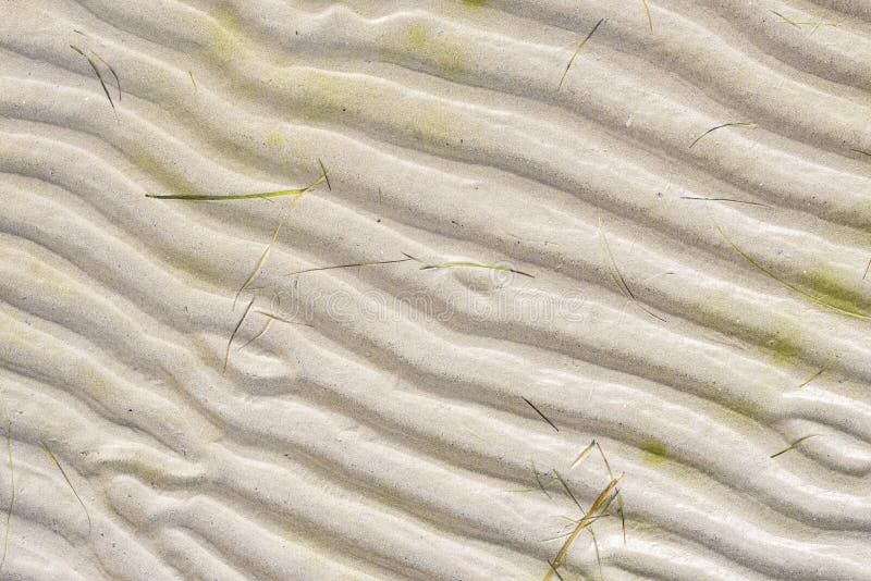 A Fine Sandy Beach with Nice Structure Stock Photo - Image of material ...