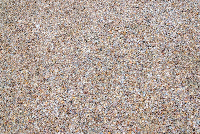 Fine shells texture finish stock image. Image of empty - 63837939