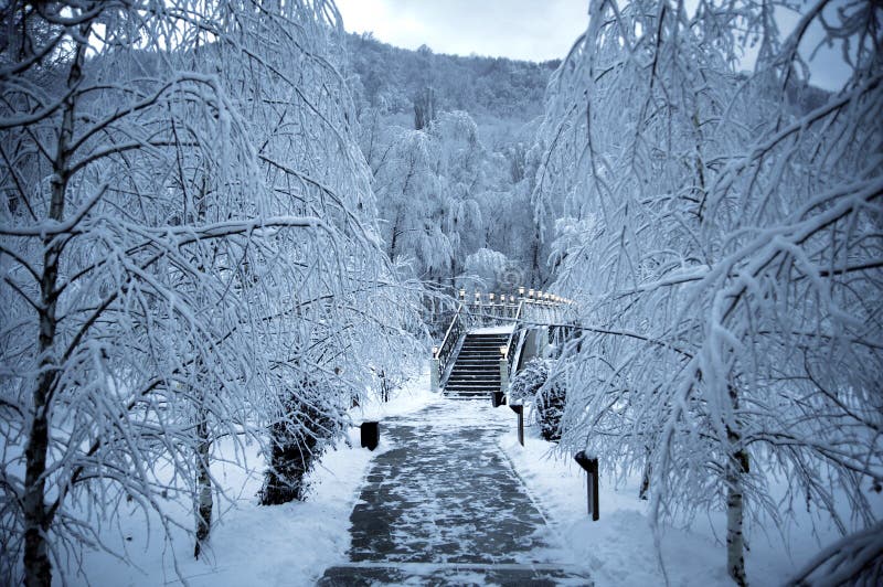 The Fine Snow Evening in Mountains Stock Photo - Image of calm, light ...