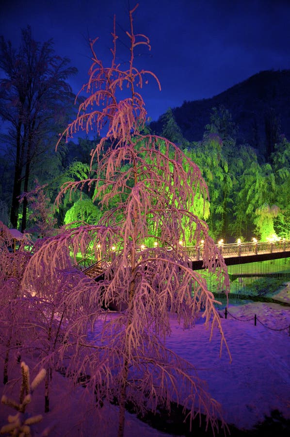 The Fine Snow Evening in Mountains Stock Image - Image of nature, light ...