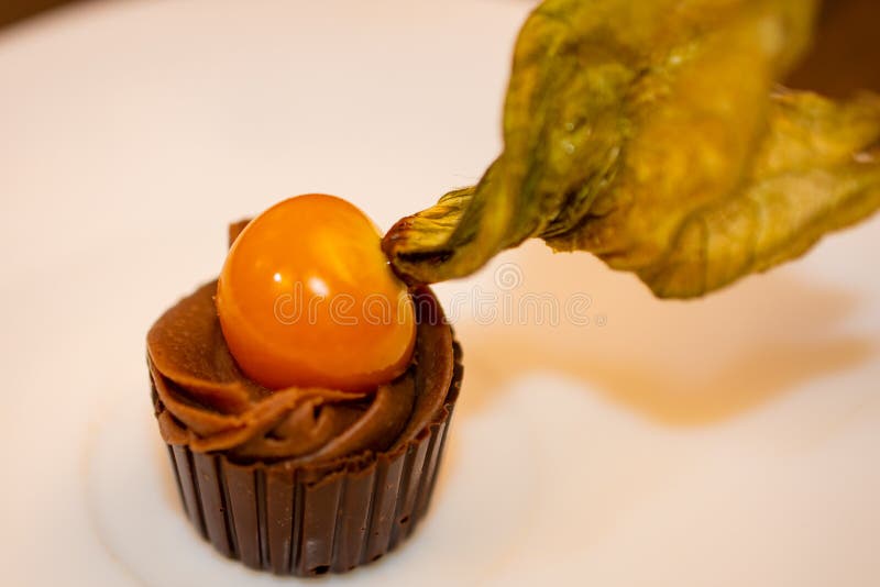 Fine Sweets for Wedding Party. Chocolate with Fruit Stock Photo - Image ...