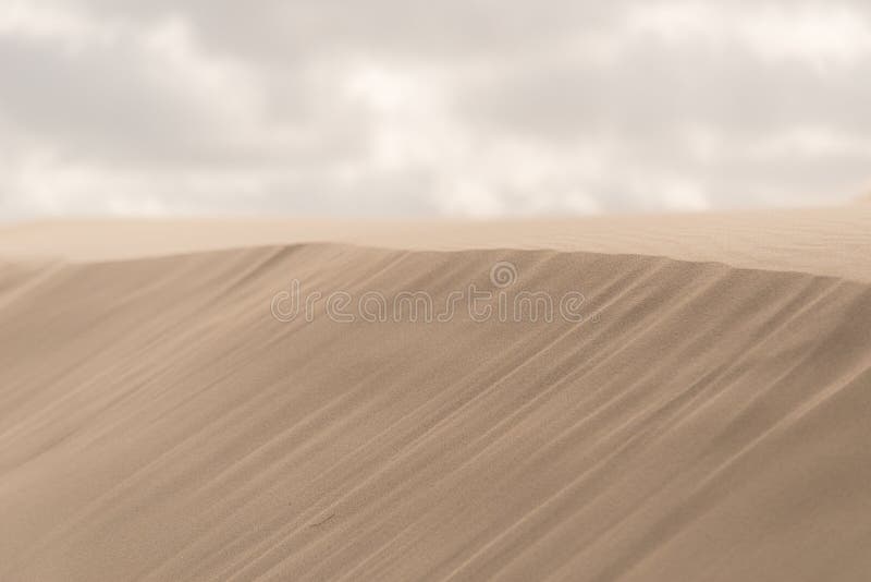 Fine Texture and Lines of Sandy Dunes in a Desert Stock Photo - Image ...
