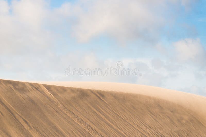 Fine Texture and Lines of Sandy Dunes in a Desert Stock Image - Image ...