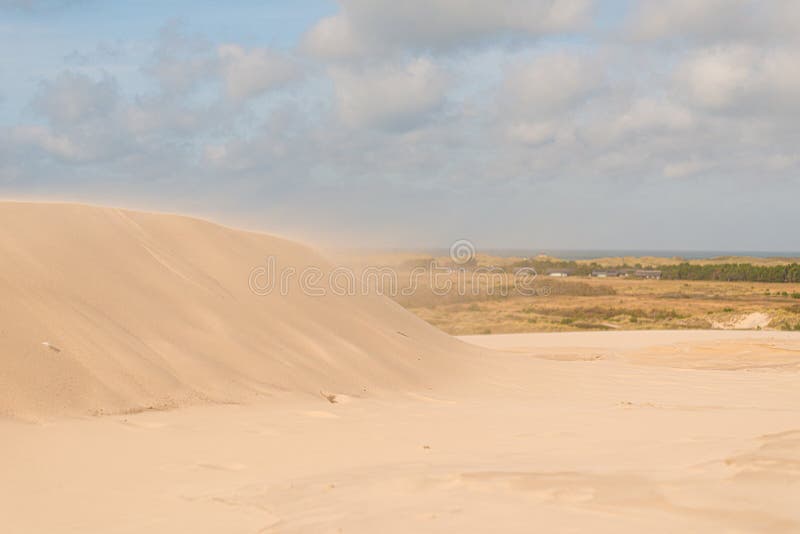 Fine Texture and Lines of Sandy Dunes in a Desert Stock Photo - Image ...