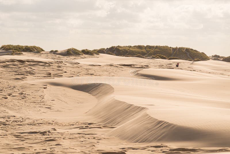 Fine Texture and Lines of Sandy Dunes in a Desert Stock Photo - Image ...