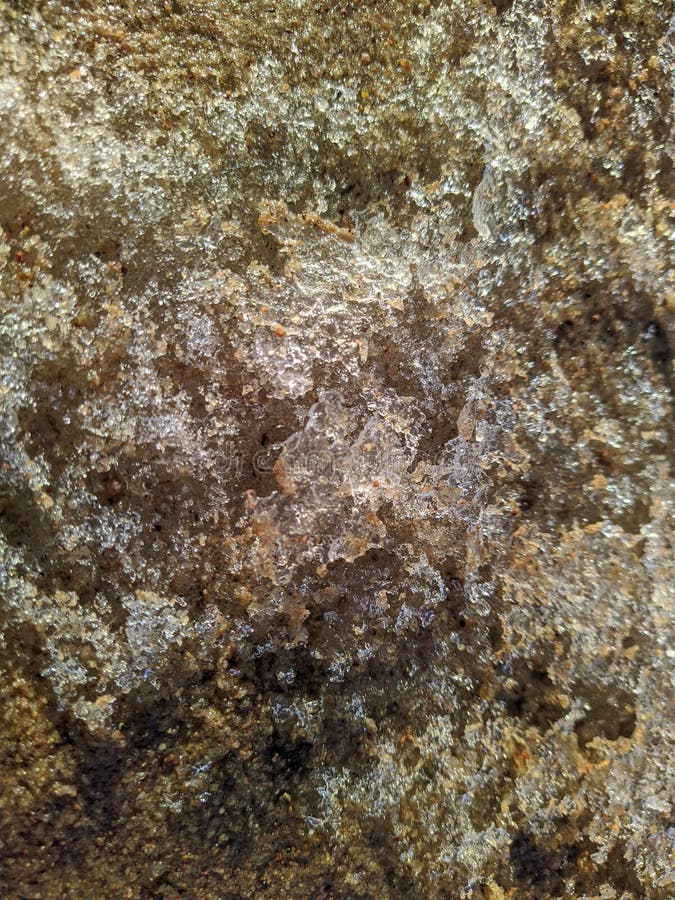 Fine Texture of Melted Snow Closeup Photo. Snow Crust Macro Photo ...