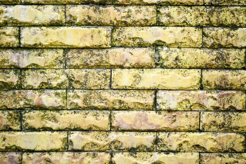 Fine Texture of the Wall Light Yellow Bricks. Background. Stock Photo ...