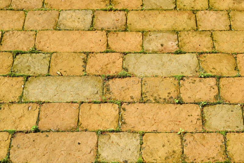 Fine Texture of the Wall Light Yellow Bricks. Background. Stock Image ...