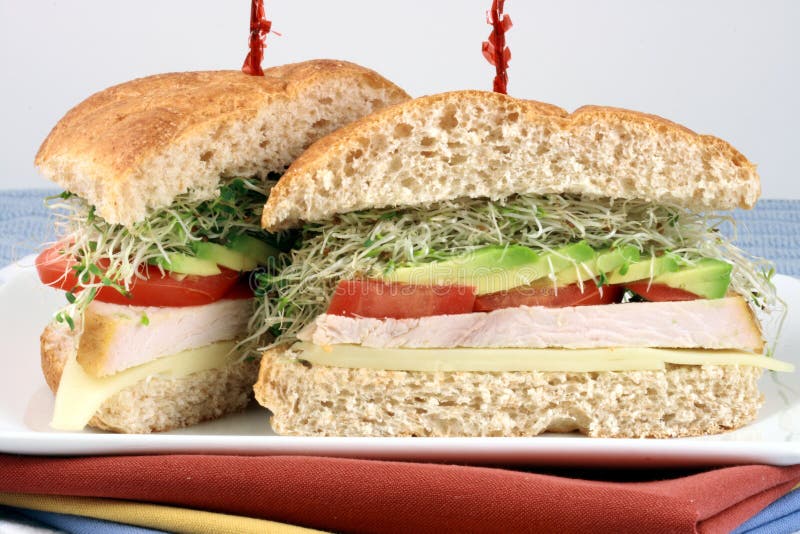 Fine turkey sandwich stock photo. Image of grilled, fresh - 7124544