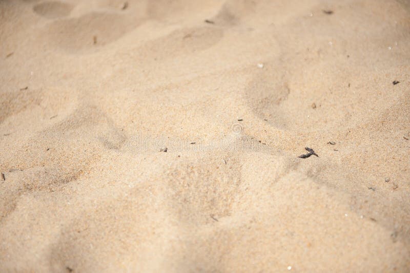 Fine and Warm Sand on a Beach Stock Image - Image of fine, small: 182447857