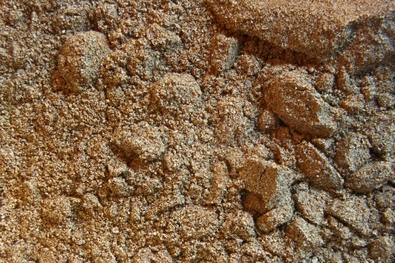 Heavily Shredded Cocoa Grains into Powder. Stock Photo - Image of ...
