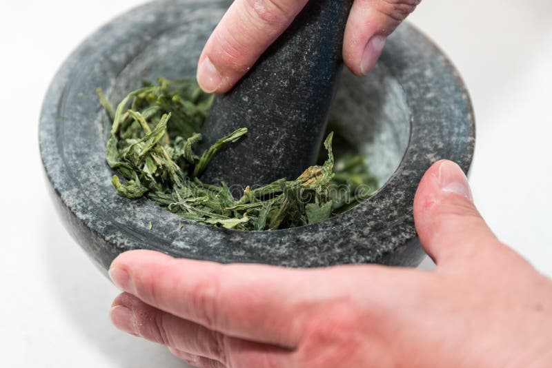 Mortar dried wild garlic stock photo. Image of herb - 226630776