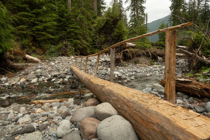 A Finger of the Carbon River Flows Under Newly Installed Tree Log ...
