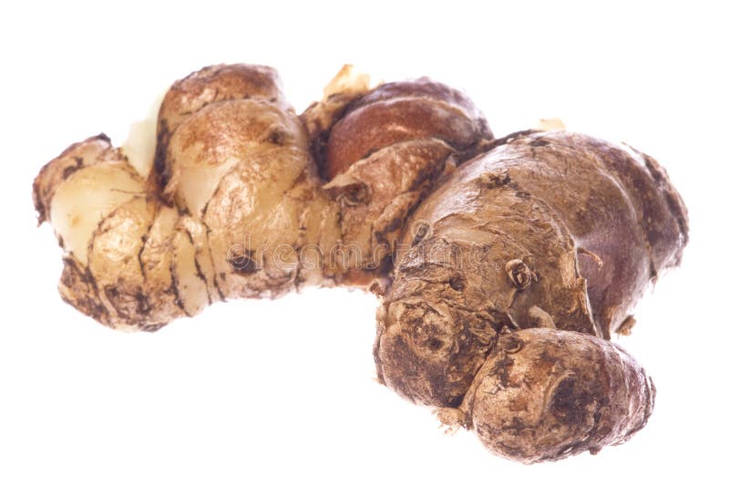 Finger (Cekor) Root Macro Isolated Stock Image - Image of flavoring ...