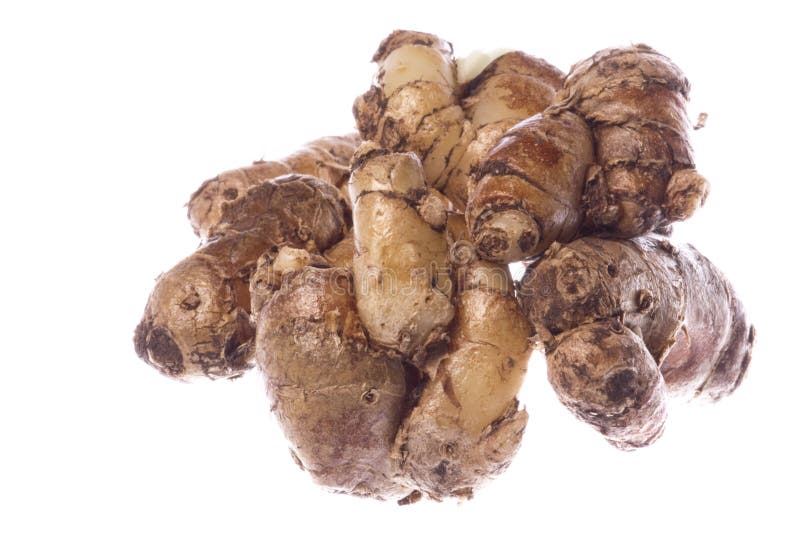 Finger (Cekor) Root Macro Isolated Stock Photo - Image of macro ...