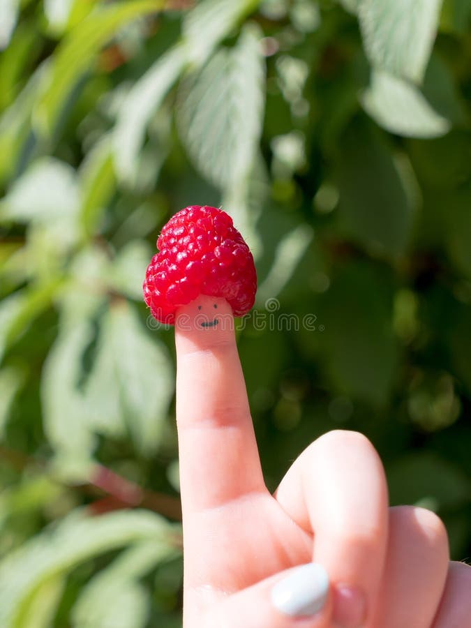Raspberry Smiley Face Stock Photos - Free & Royalty-Free Stock Photos ...