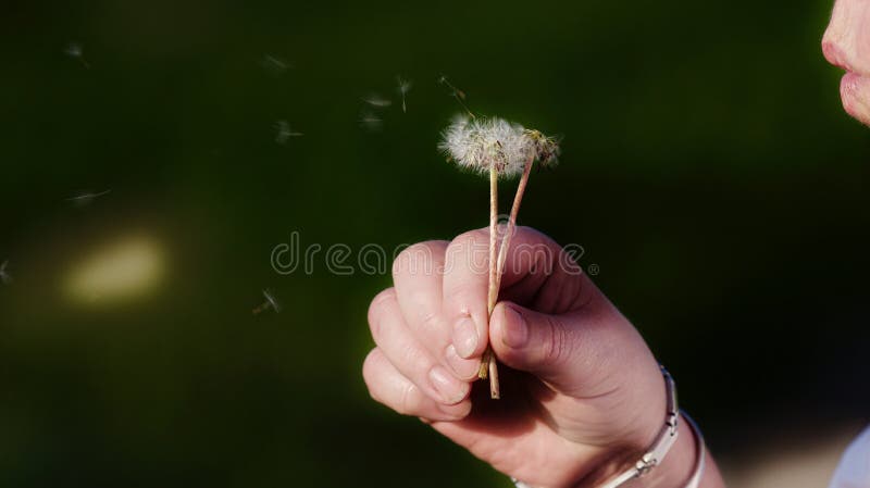 Finger, Hand, Plant, Spring Picture. Image: 116331217
