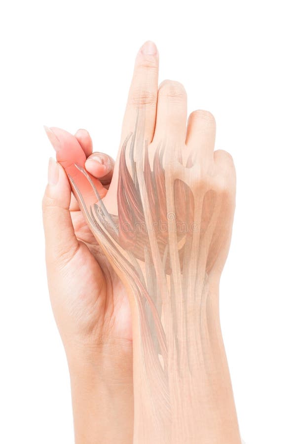 13,594 Muscle Pain White Background Stock Photos - Free & Royalty-Free ...