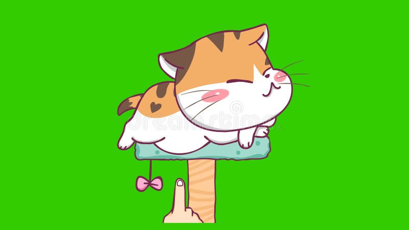 Finger Poking Cat Animation - Green Screen Background Stock Video ...