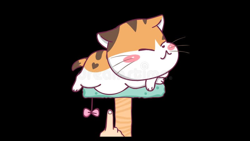 Finger Poking Cat Animation - Transparent Background Stock Video ...