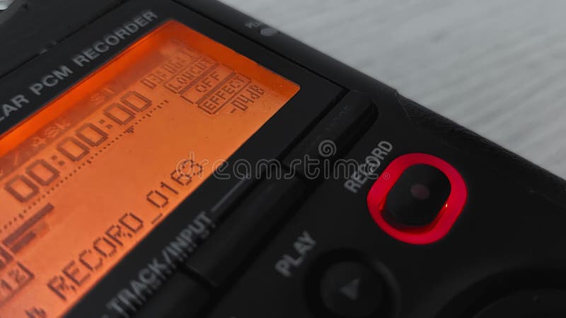 Screen with Wave Form of Speech Recording on Digital Voice Audio ...