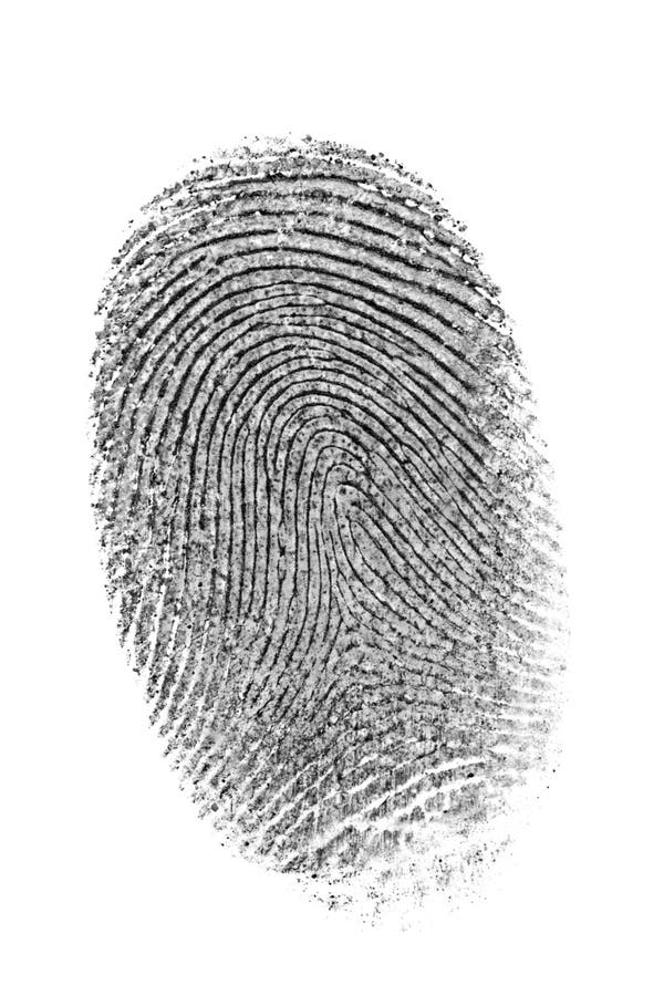 Finger print. stock photo. Image of human, biometrics - 13223606