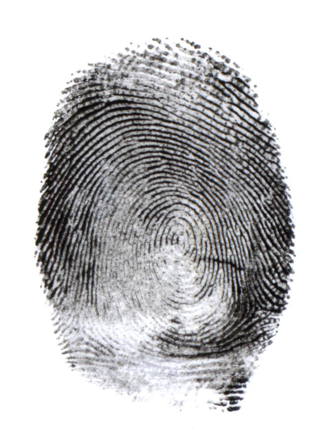 Real fingerprint stock image. Image of lined, natural - 36032579