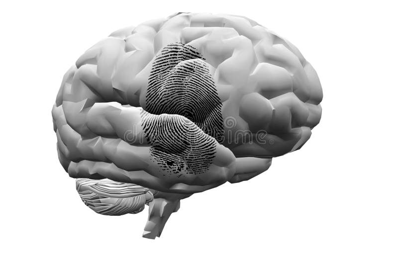 Brain Fingerprint - Identity - Psychoanalysis Stock Illustration ...