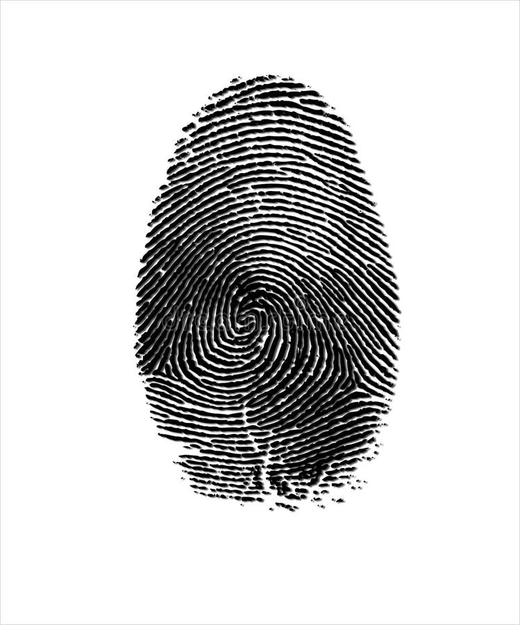 FINGERPRINTS ,VECTOR , ILLUSTRATOR , BLACK Stock Illustration ...