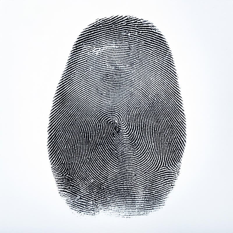 Finger Print Texture on White Background. Uniquely Intricate ...