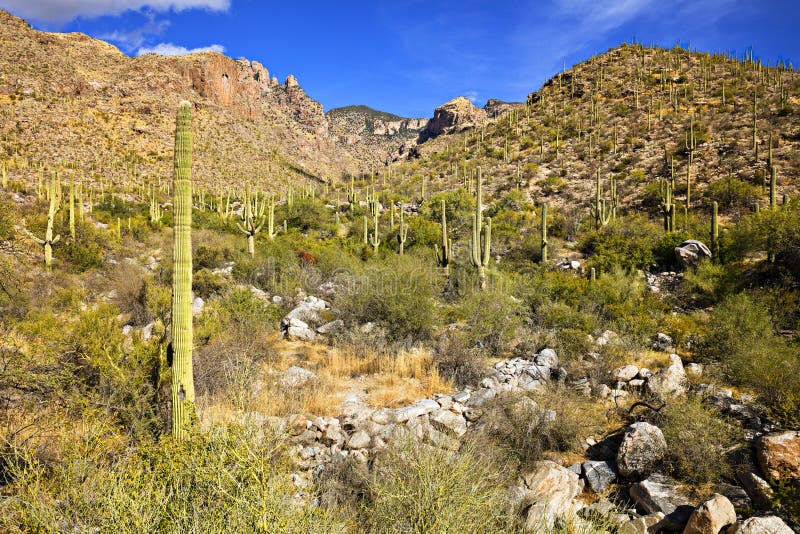 Finger Rock Arizona Stock Photos - Free & Royalty-Free Stock Photos ...