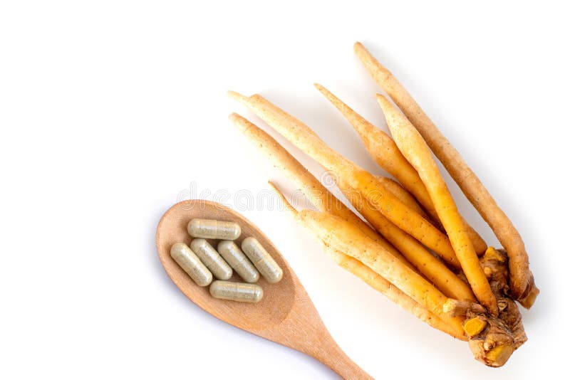 Fingerroot powder capsule stock image. Image of herbs - 192394993