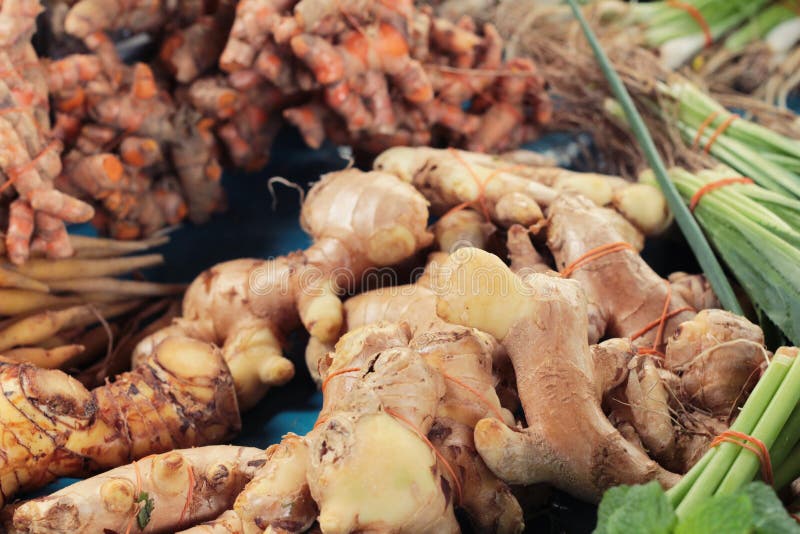 Finger Root and Ginger in the Market. Stock Photo - Image of ingredient ...