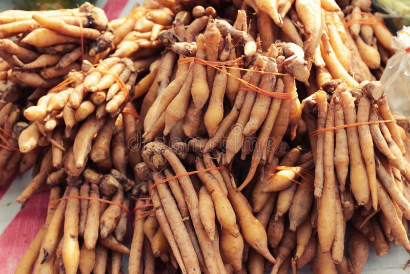 Finger Root and Ginger in the Market. Stock Image - Image of condiment ...