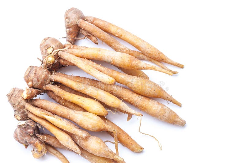 Finger root Ingredients stock image. Image of tropical - 60246845