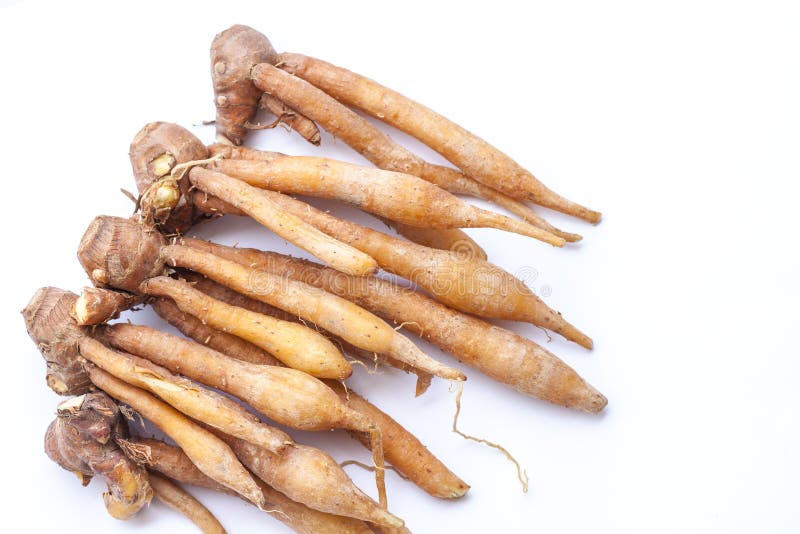 Finger root Ingredients stock image. Image of medicine - 60247115