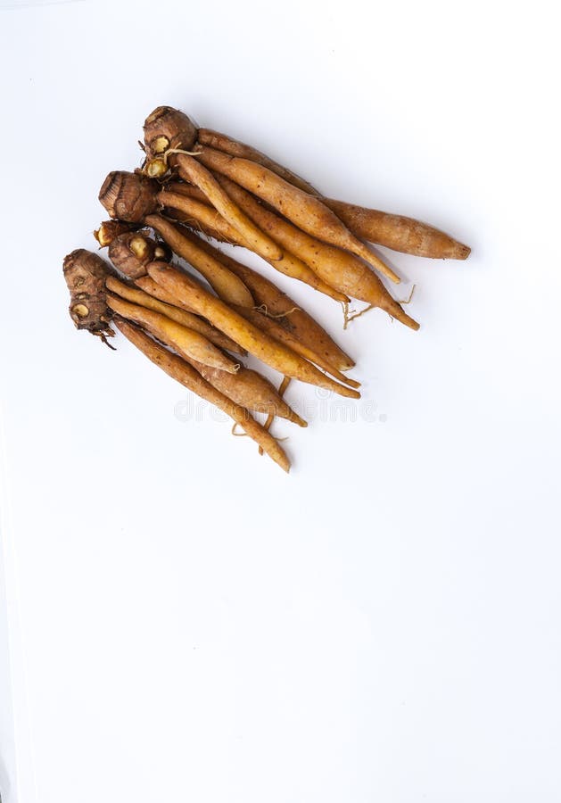 Finger root Ingredients stock image. Image of healthy - 60247155