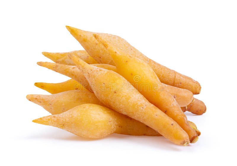 Finger Root Krachai Thai Herb on White Background. Stock Photo - Image ...