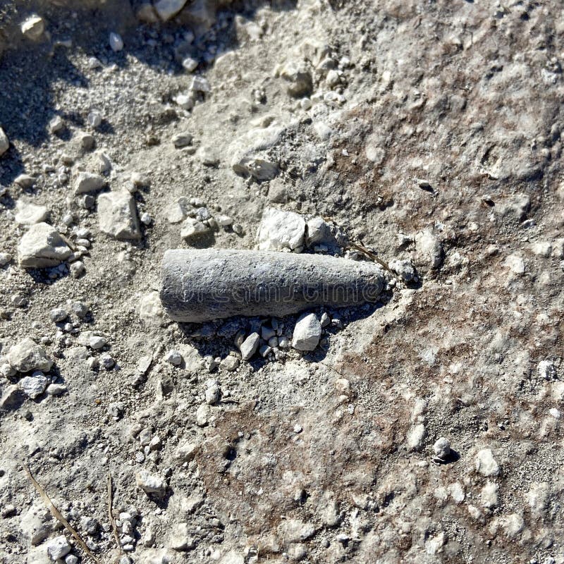 Finger-stone stock photo. Image of bunch, belemnite - 221595026