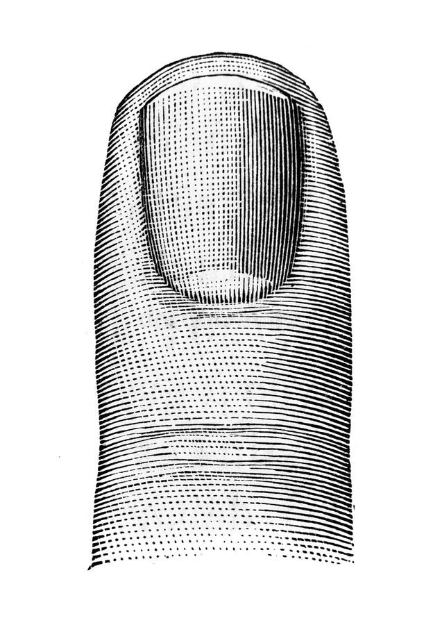 Finger structure, close up stock image. Image of antique - 283104431