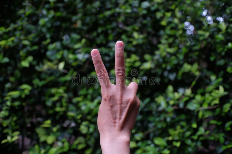 329 Rude Person Showing Middle Finger Stock Photos - Free & Royalty ...